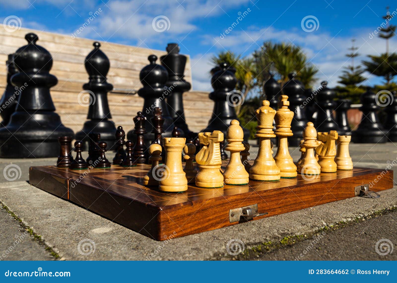 Outdoor Chess stock photo. Image of bishop, board, large - 283664662