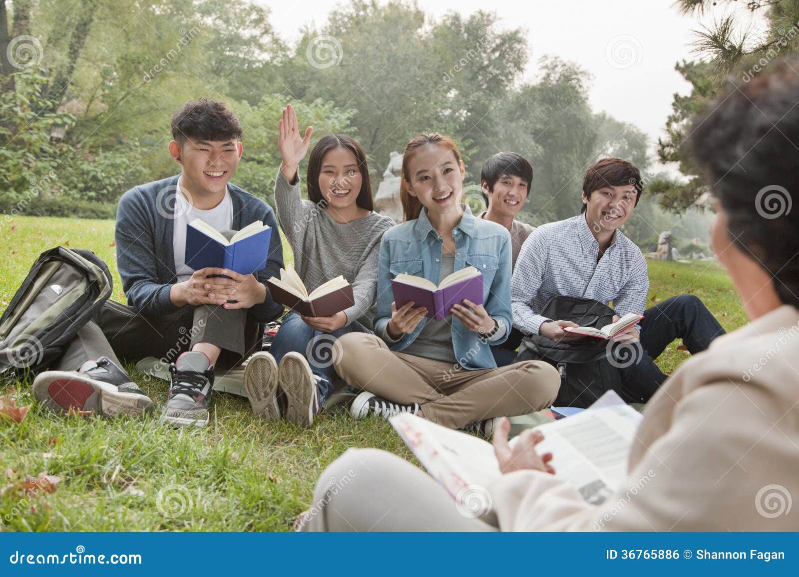 Outdoor class in the park stock photo. Image of 5559 - 36765886