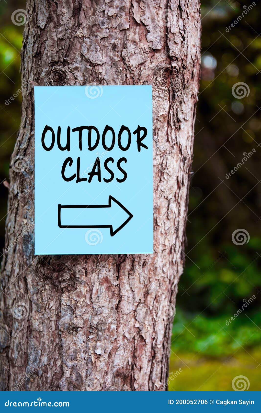Outdoor Class Sign with an Arrow Written on Paper on a Tree in the ...