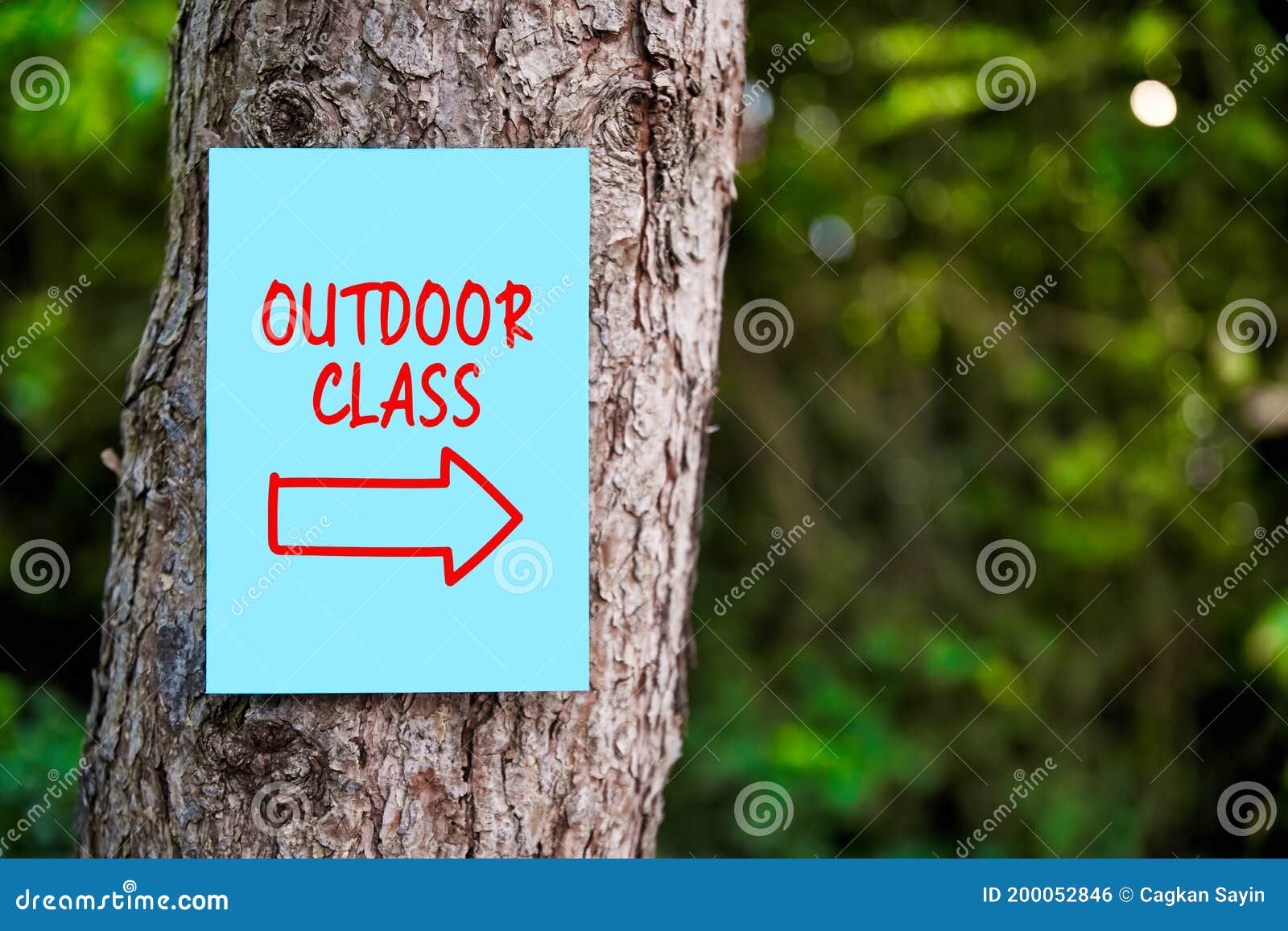 Outdoor Class Sign with an Arrow Written on Paper on a Tree in the ...