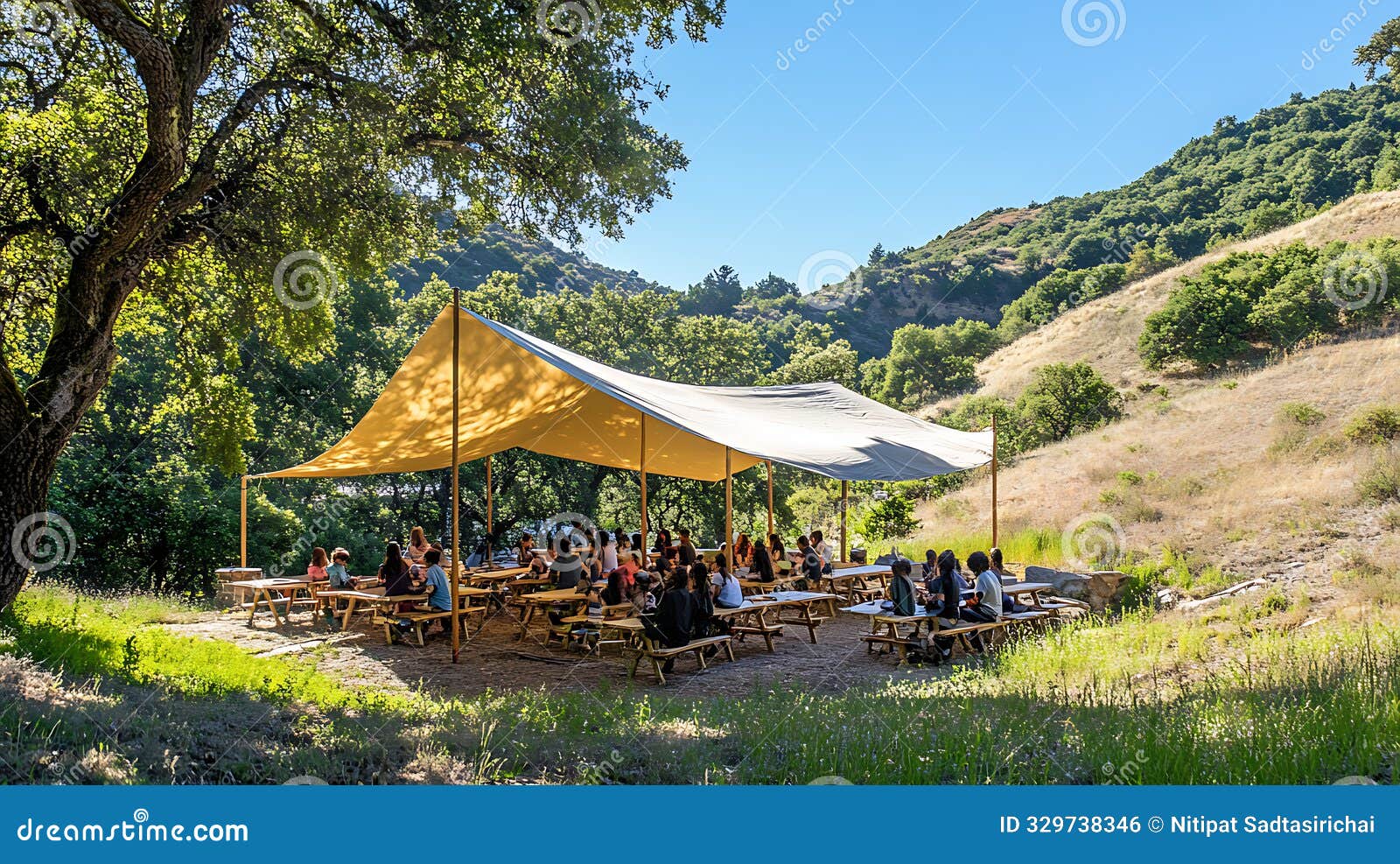 An Outdoor Classroom Setup with Students Learning in Nature Under a ...
