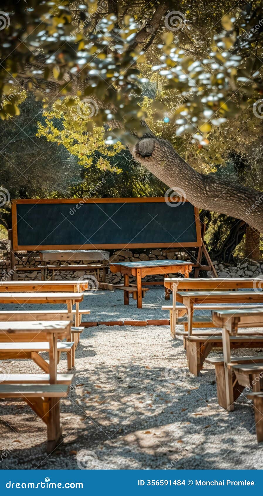 Outdoor Classroom Setup with Wooden Benches and Chalkboard Surrounded ...