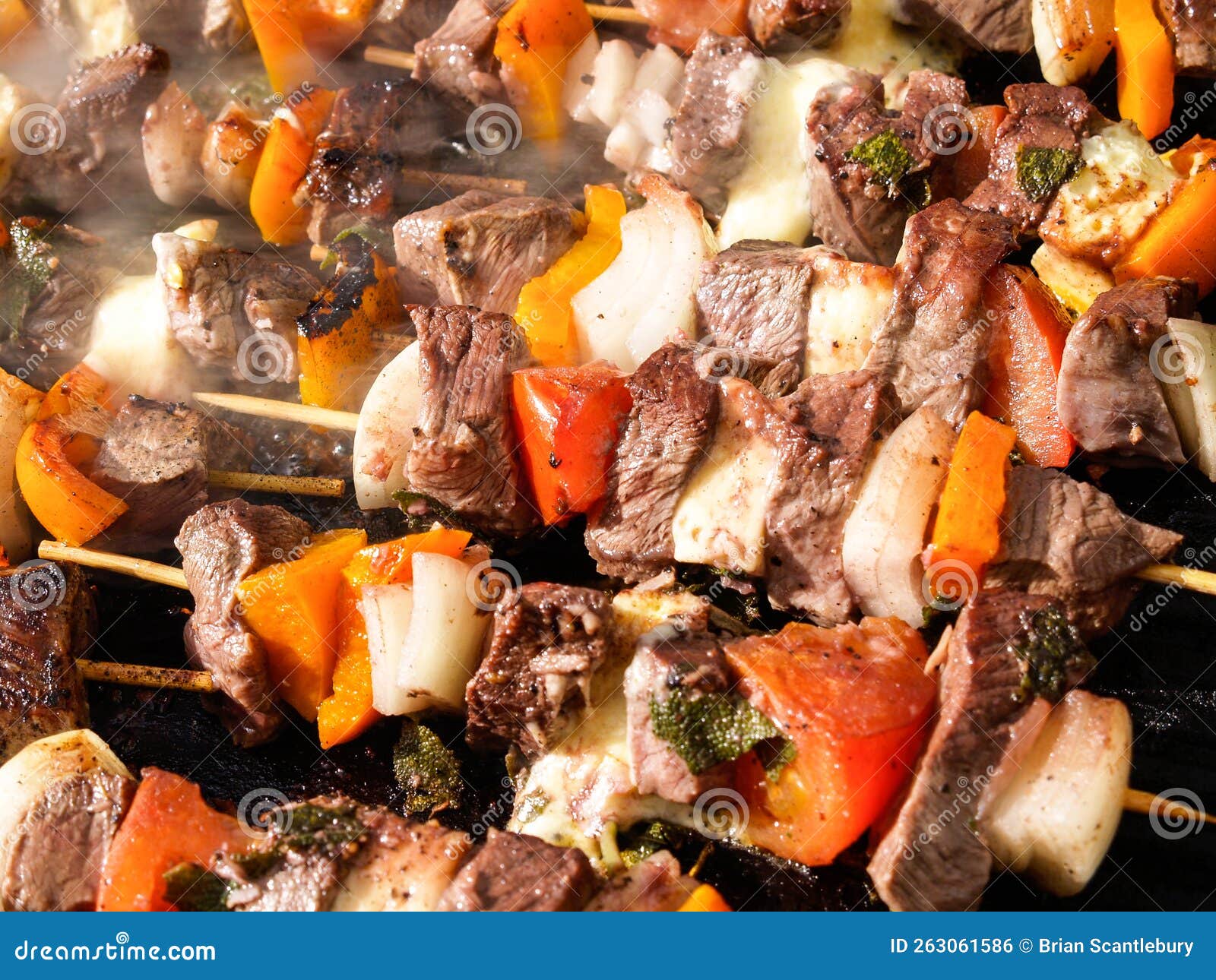 Outdoor Cooking on Barbeque Stock Photo - Image of kebabs, smoke: 263061586