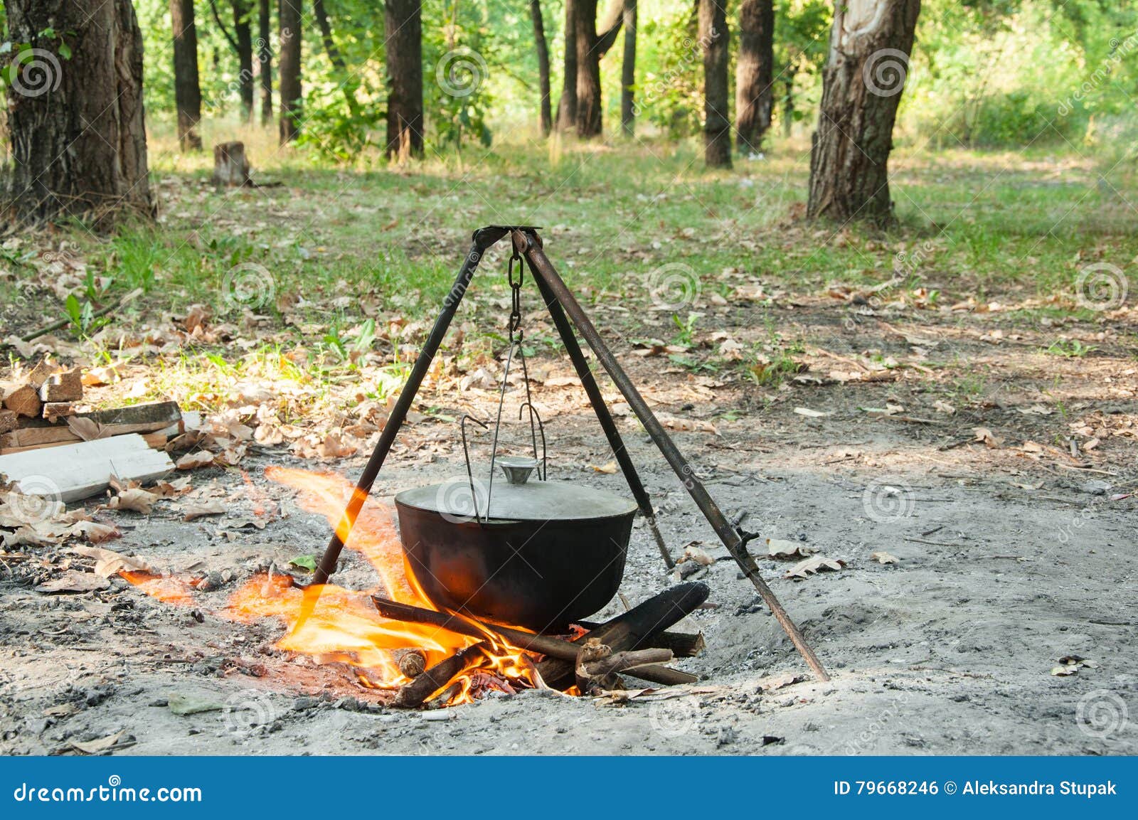 Outdoor cooking a meal stock photo. Image of equipment - 79668246