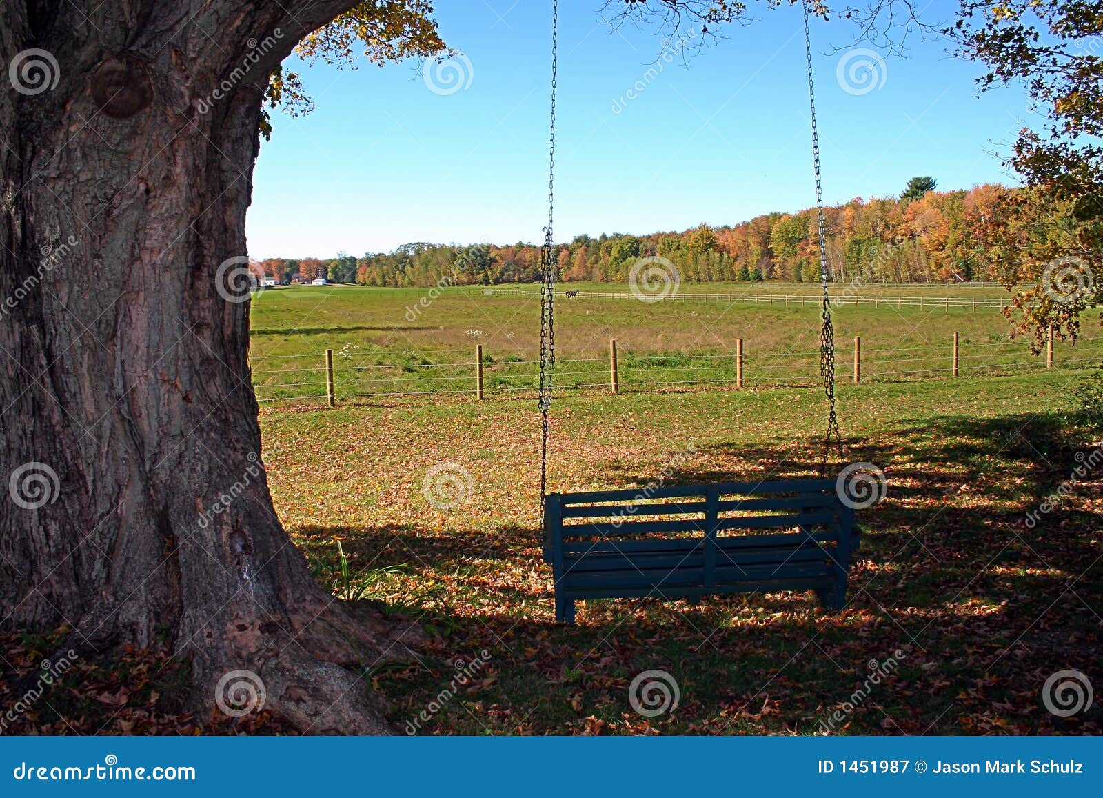Outdoor country swing stock image. Image of maple, paddock - 1451987