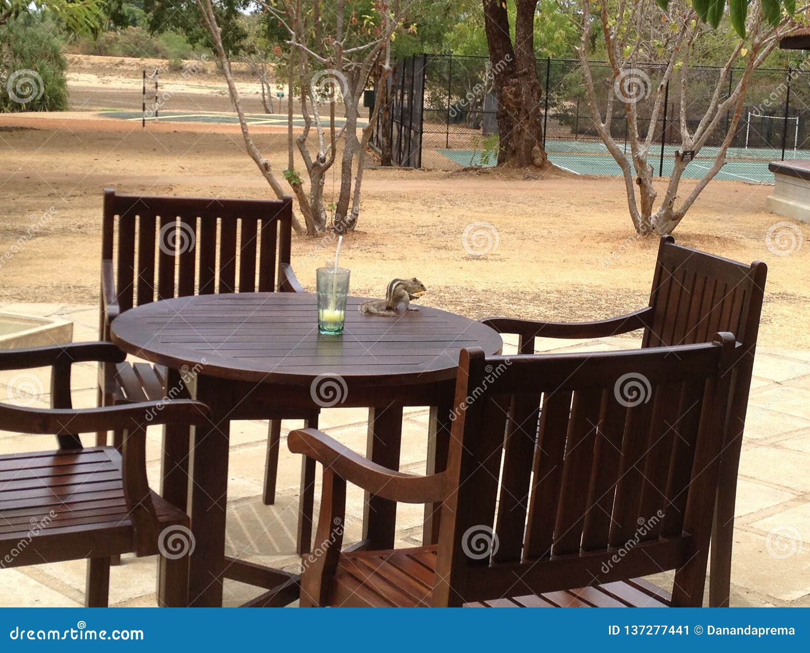 Outdoor Dining Table in a Hotel Stock Image - Image of vacation, ceylon ...