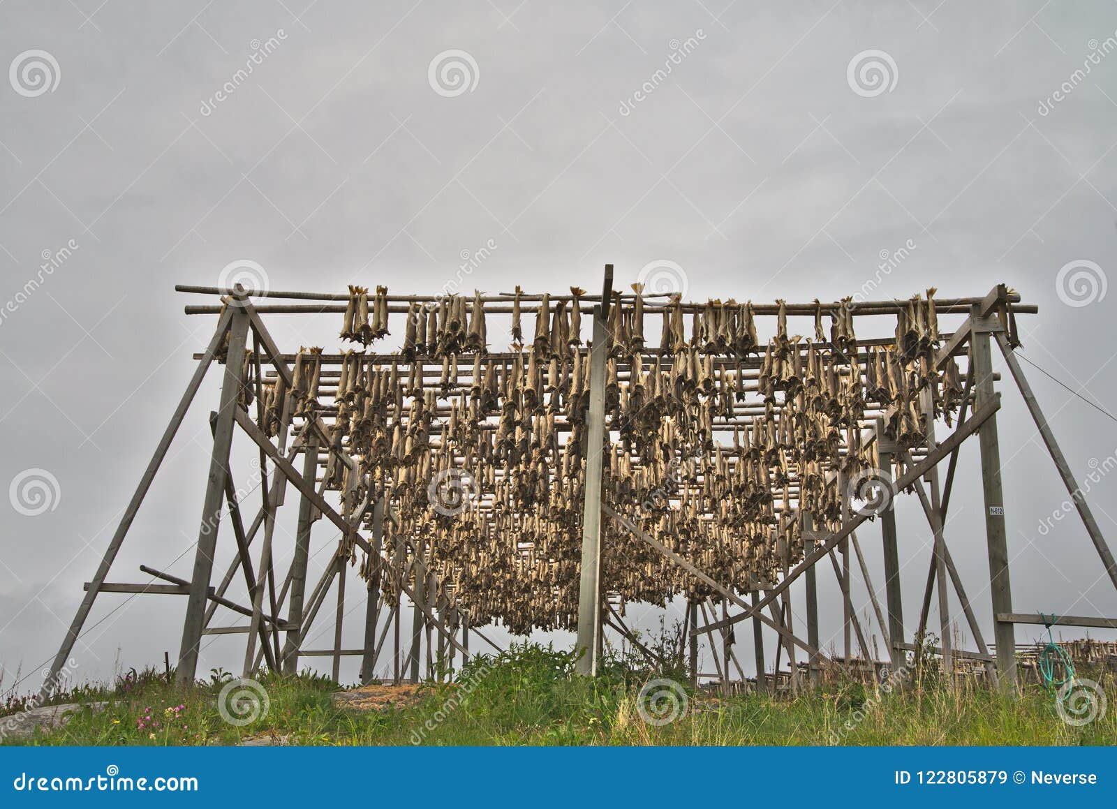 Outdoor Drying of Cod Fish in Norway Stock Image - Image of industry ...