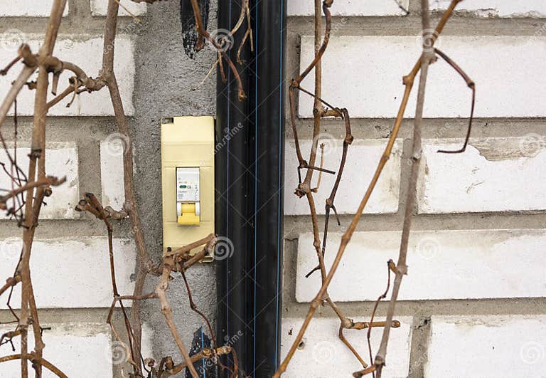 Outdoor Electric Switch and Electric Cable on the Wall of the House ...