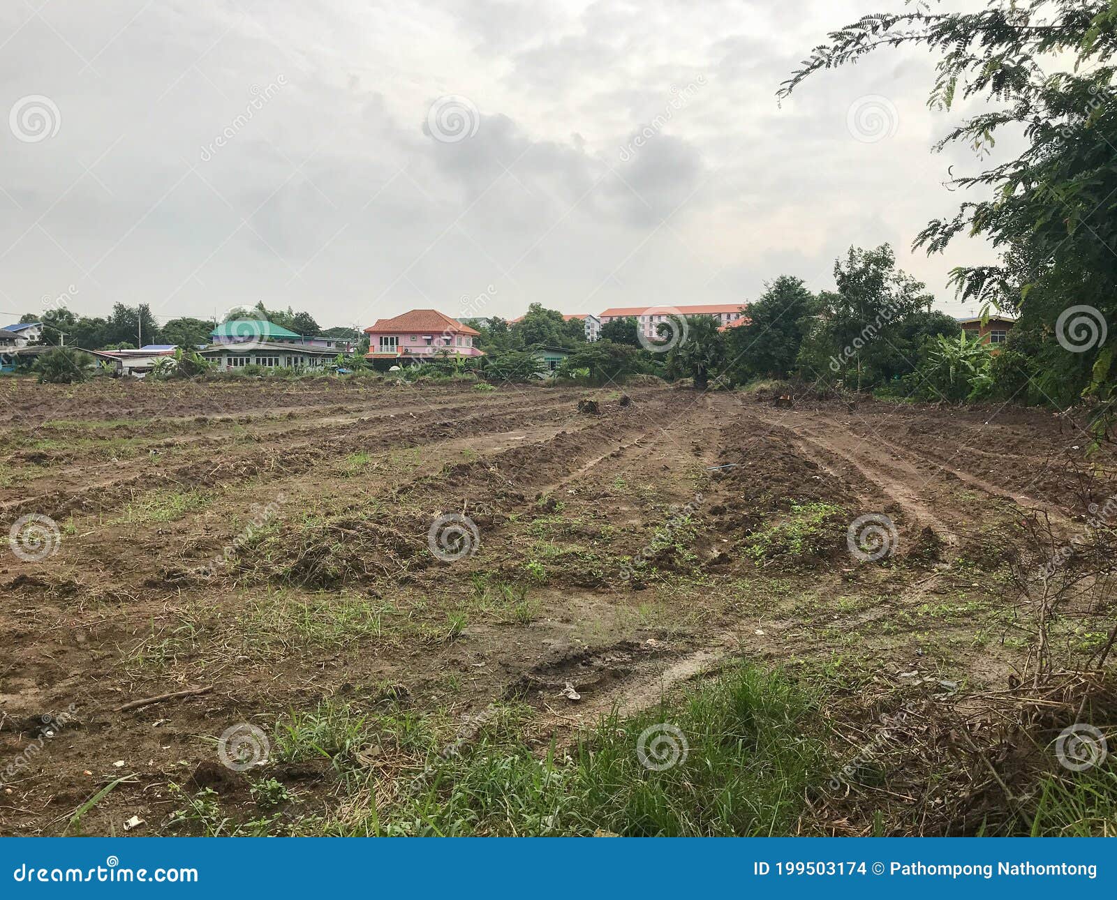 Empty Land for Sale at Thailand Stock Photo - Image of landscape ...