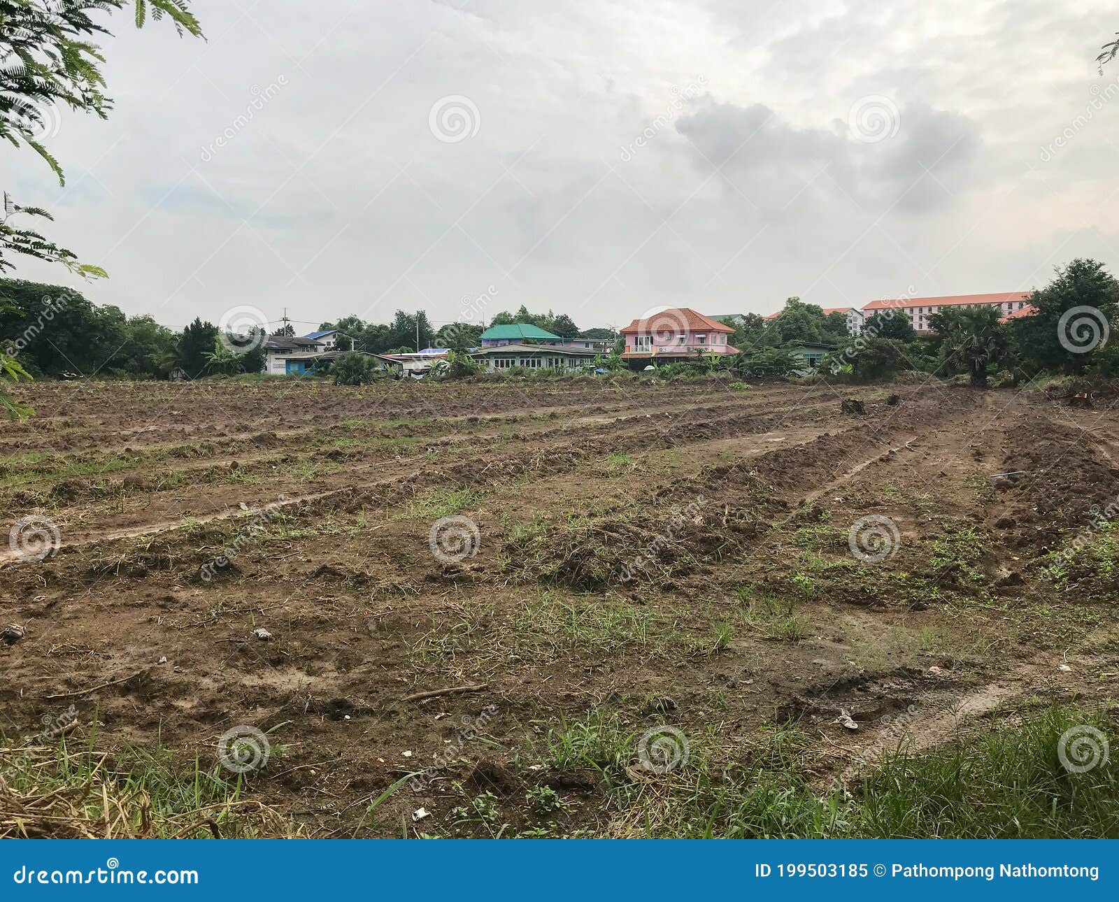 Empty Land for Sale at Thailand Stock Image - Image of commercial ...