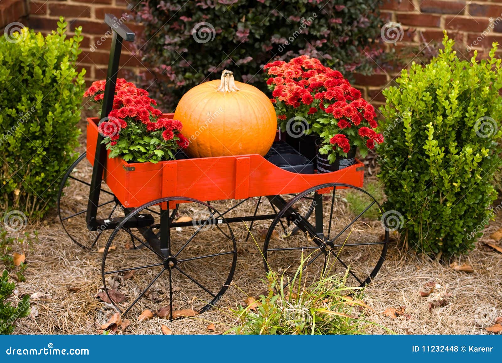 Outdoor Fall Scene stock photo. Image of flowers, green - 11232448