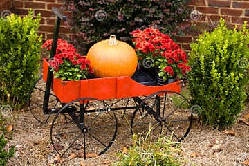 Outdoor Fall Scene stock photo. Image of flowers, green - 11232448