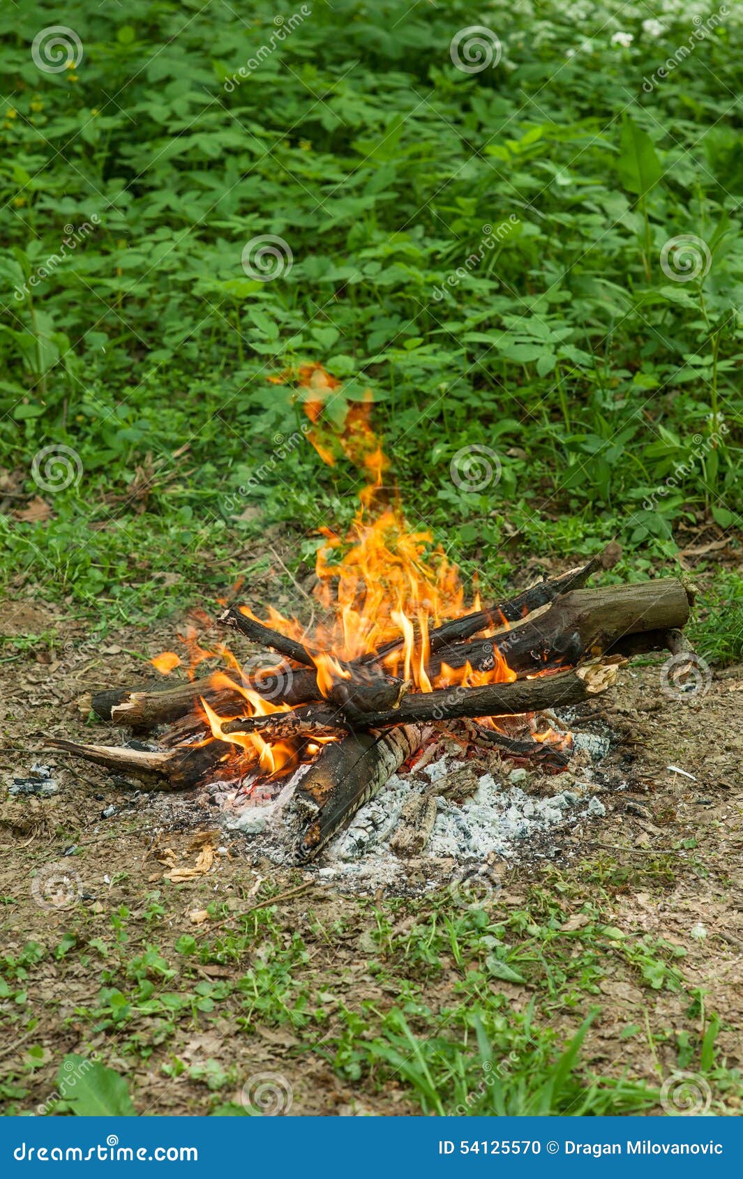 Outdoor Fire in the Spring Forest Stock Photo - Image of orange, bright ...