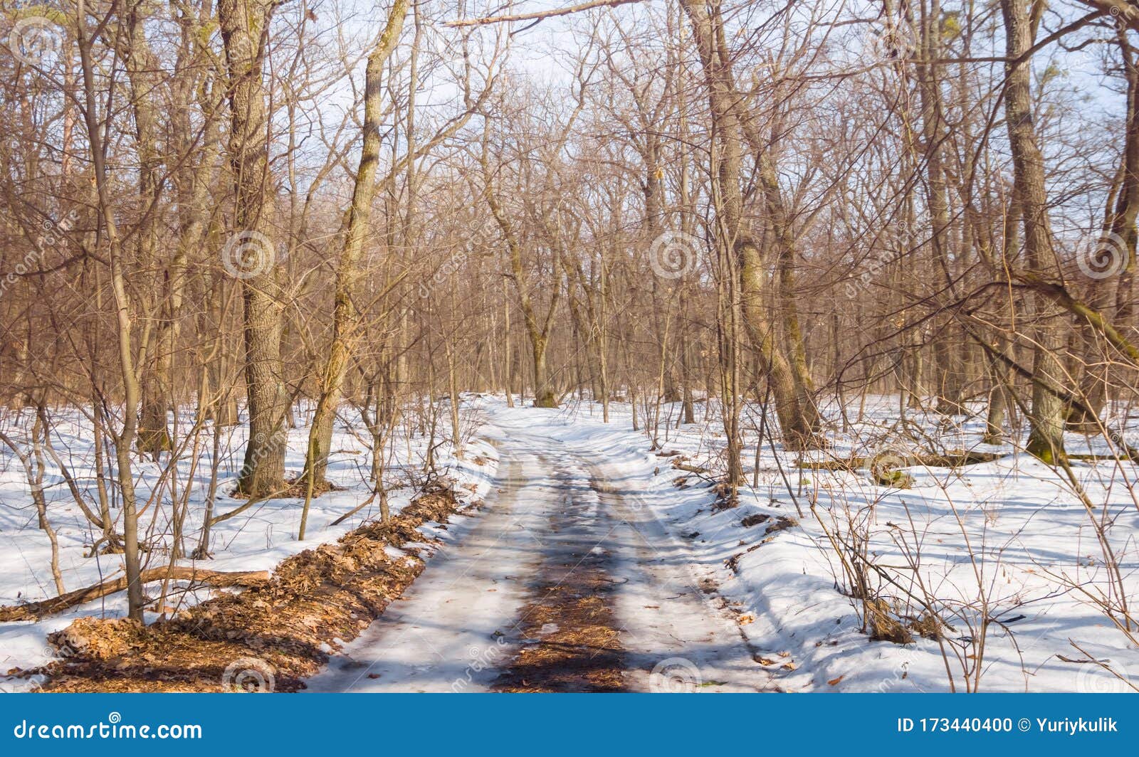 Outdoor Forest Scene in a Melting Snow Stock Photo - Image of scene ...