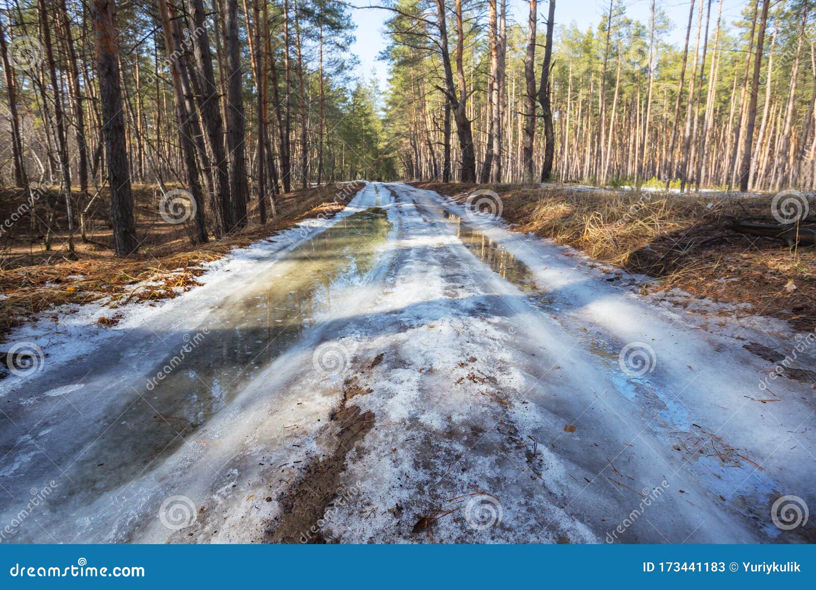 Outdoor Forest Scene in a Melting Snow Stock Image - Image of colorful ...