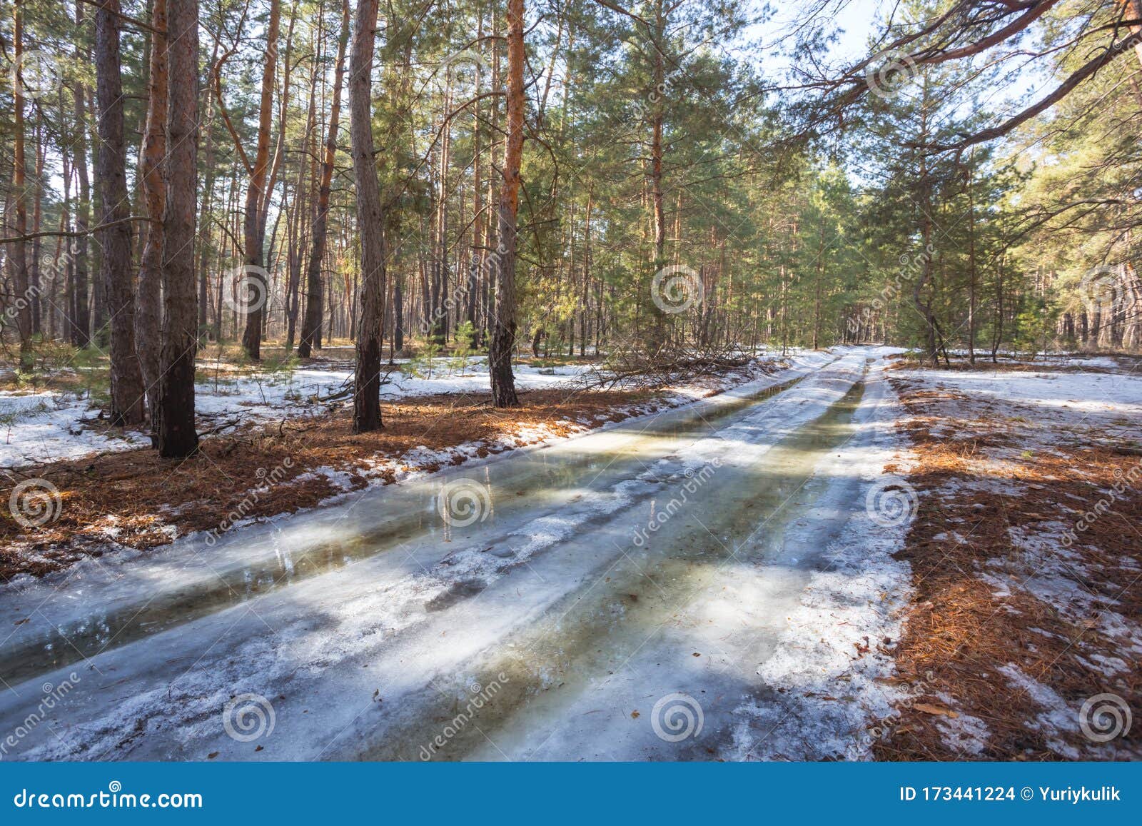 Outdoor Forest Scene in a Melting Snow Stock Photo - Image of rural ...