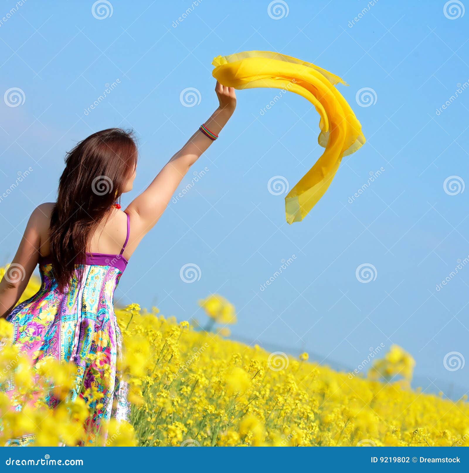 Outdoor freedom stock photo. Image of elegance, outdoor - 9219802