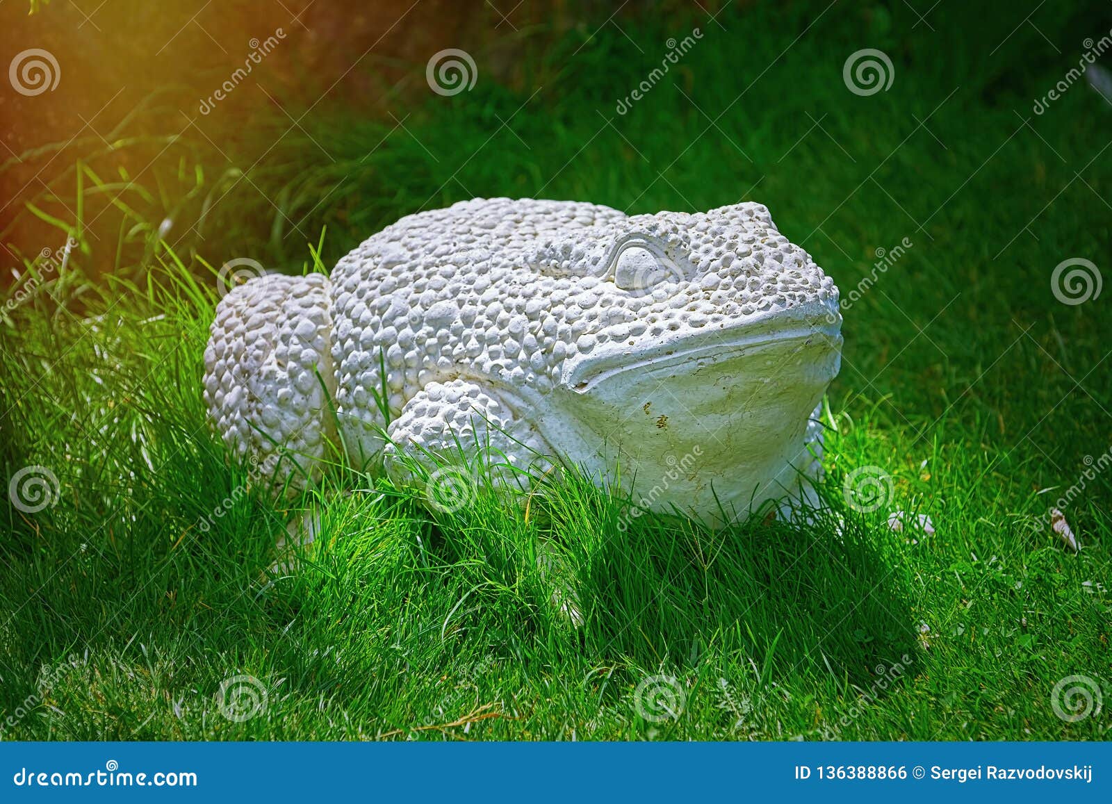 Outdoor Frog Statue stock photo. Image of statue, gardening - 136388866