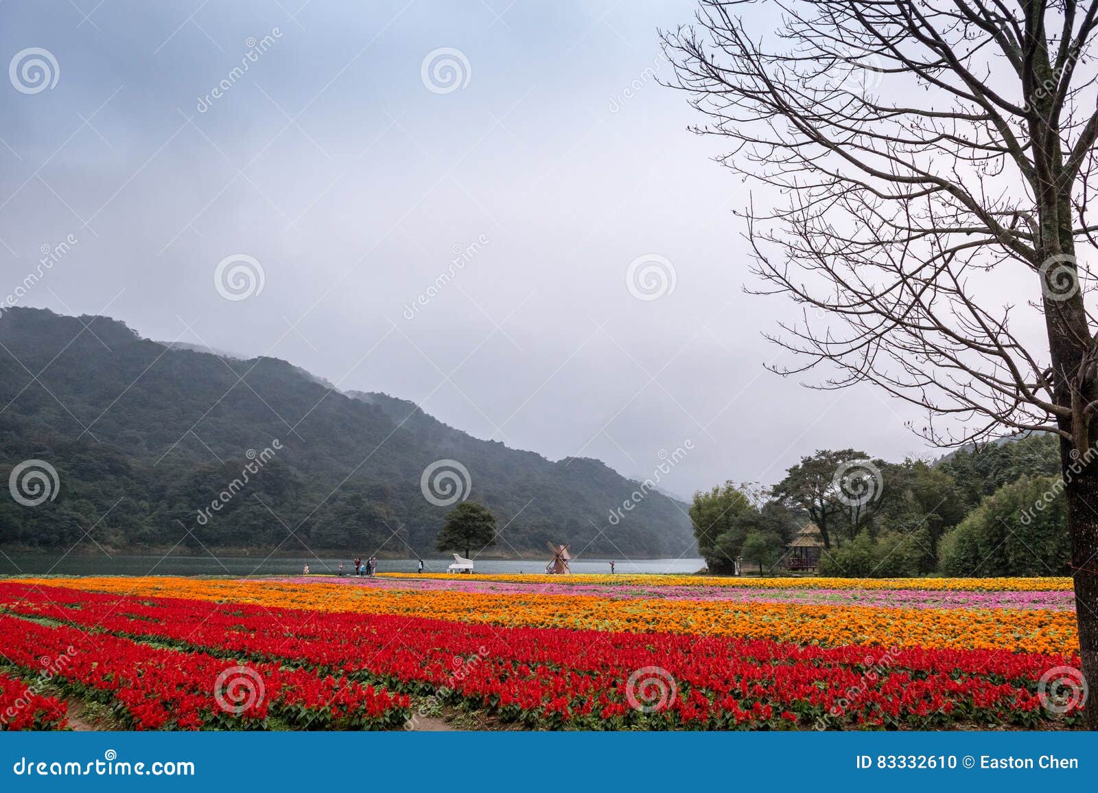 Outdoor garden editorial image. Image of cloudy, gardens - 83332610