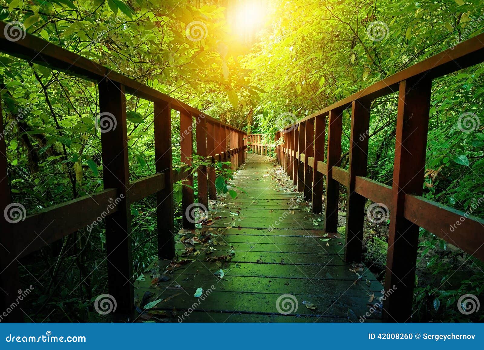 Outdoor Hiking Nature Trail Stock Photo - Image of beautiful, beauty ...