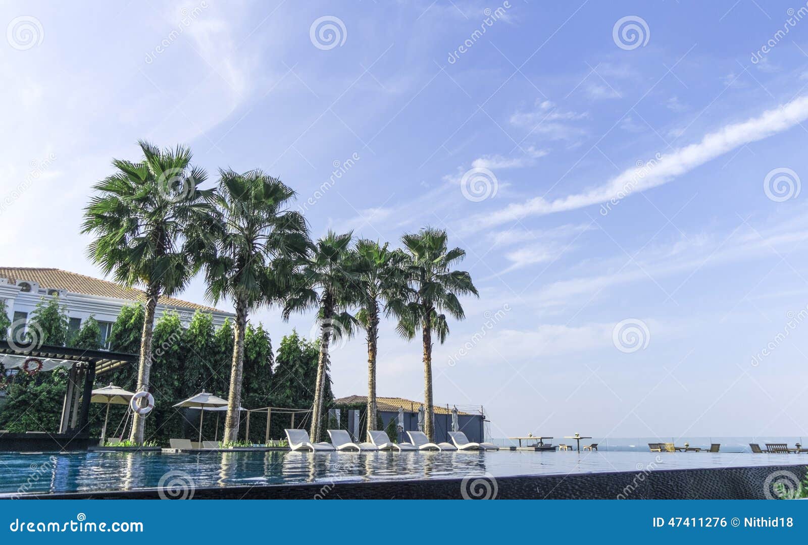 Outdoor stock photo. Image of nature, relax, evening - 47411276