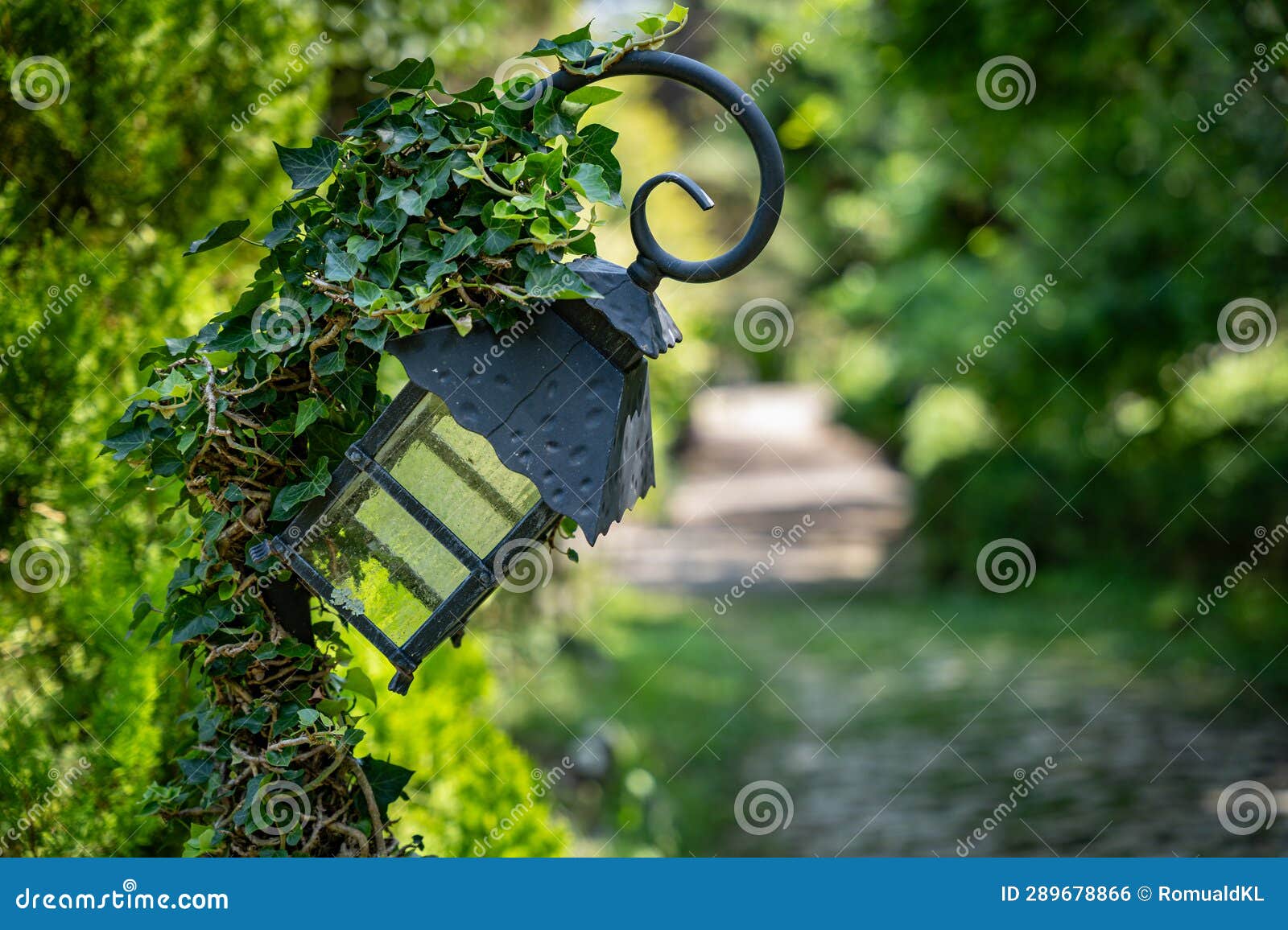 Outdoor Lamp Covered with Grass Stock Photo - Image of nature, green ...