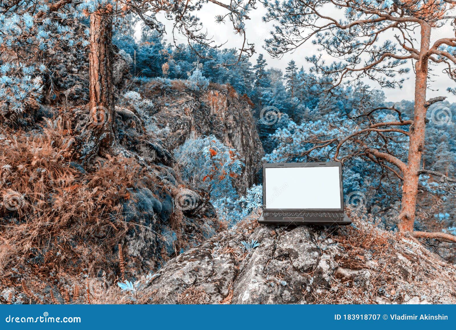 An Outdoor Laptop Stands on a Rock in a Dense Forest Stock Image ...