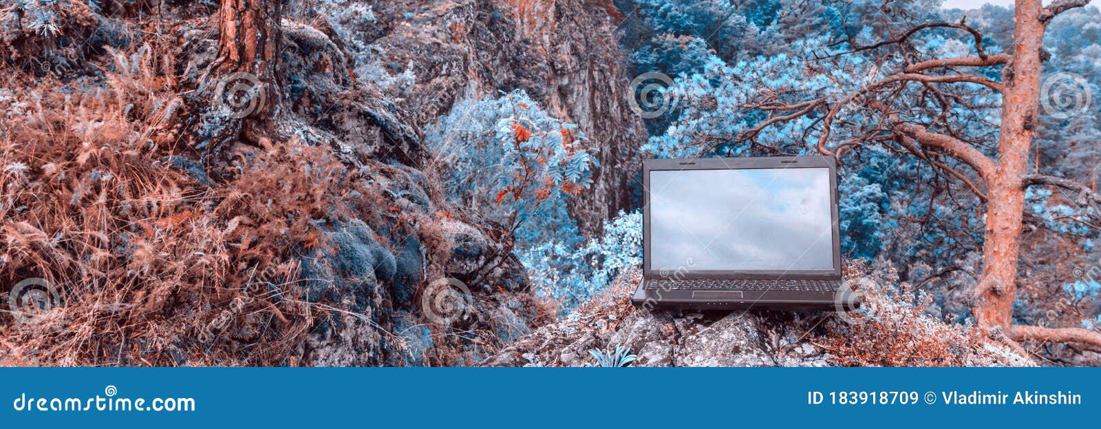 An Outdoor Laptop Stands on a Rock in a Dense Forest Stock Image ...