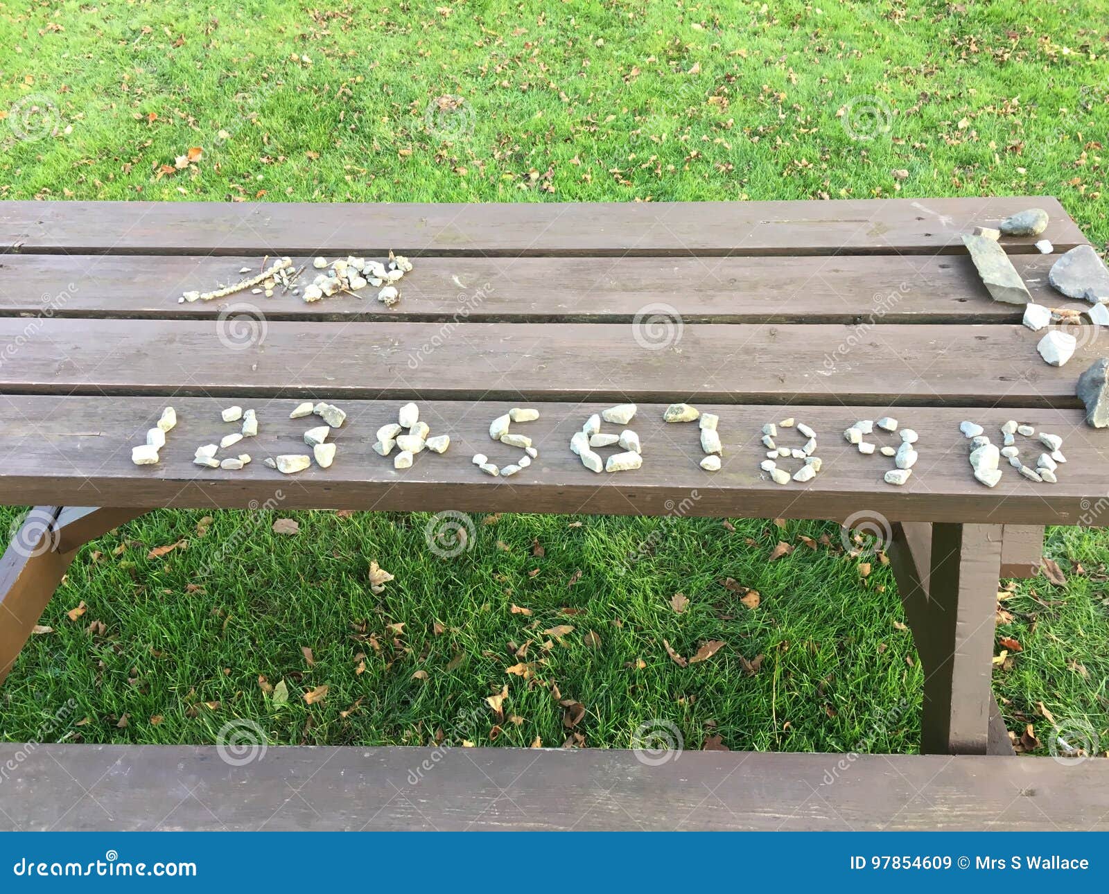 Outdoor Learning Sign With An Arrow Written On Paper On A Tree In The ...