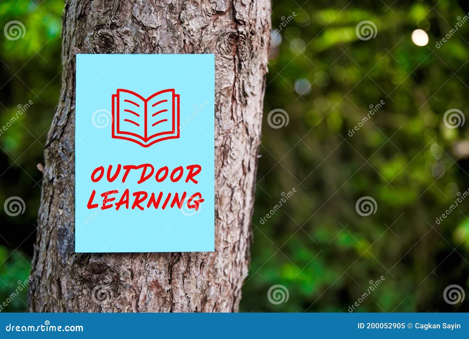 Outdoor Learning Sign with an Arrow Written on Paper on a Tree in the ...