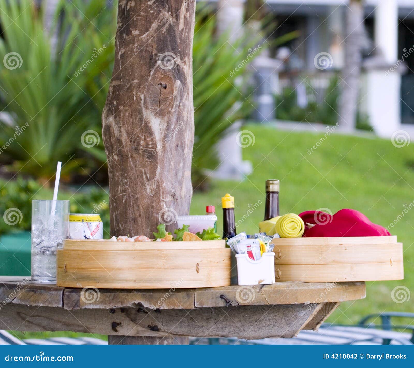 Outdoor Lunch stock photo. Image of condiments, food, straw - 4210042