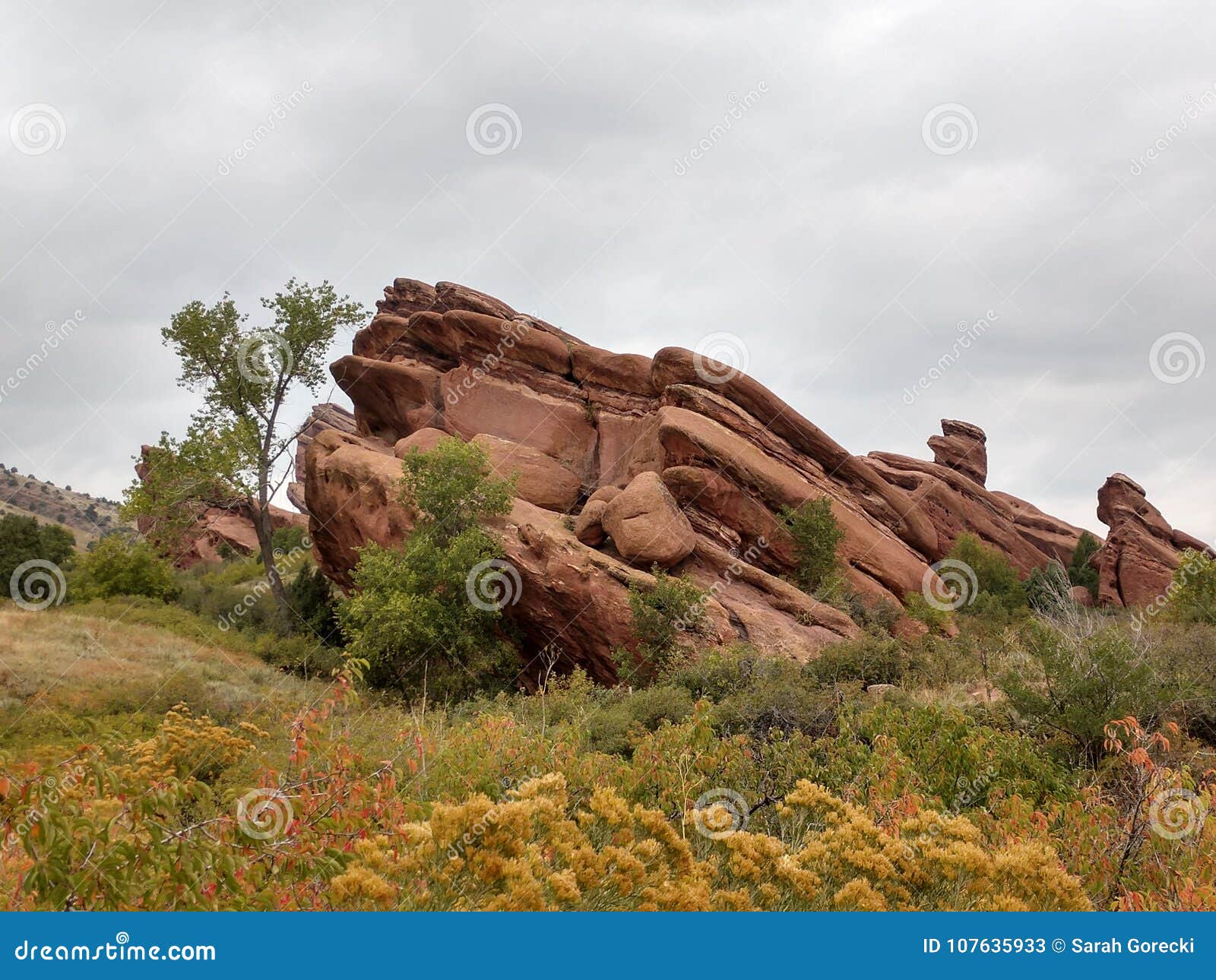 Rocks stock image. Image of rocks, trees, nature, outdoor - 107635933