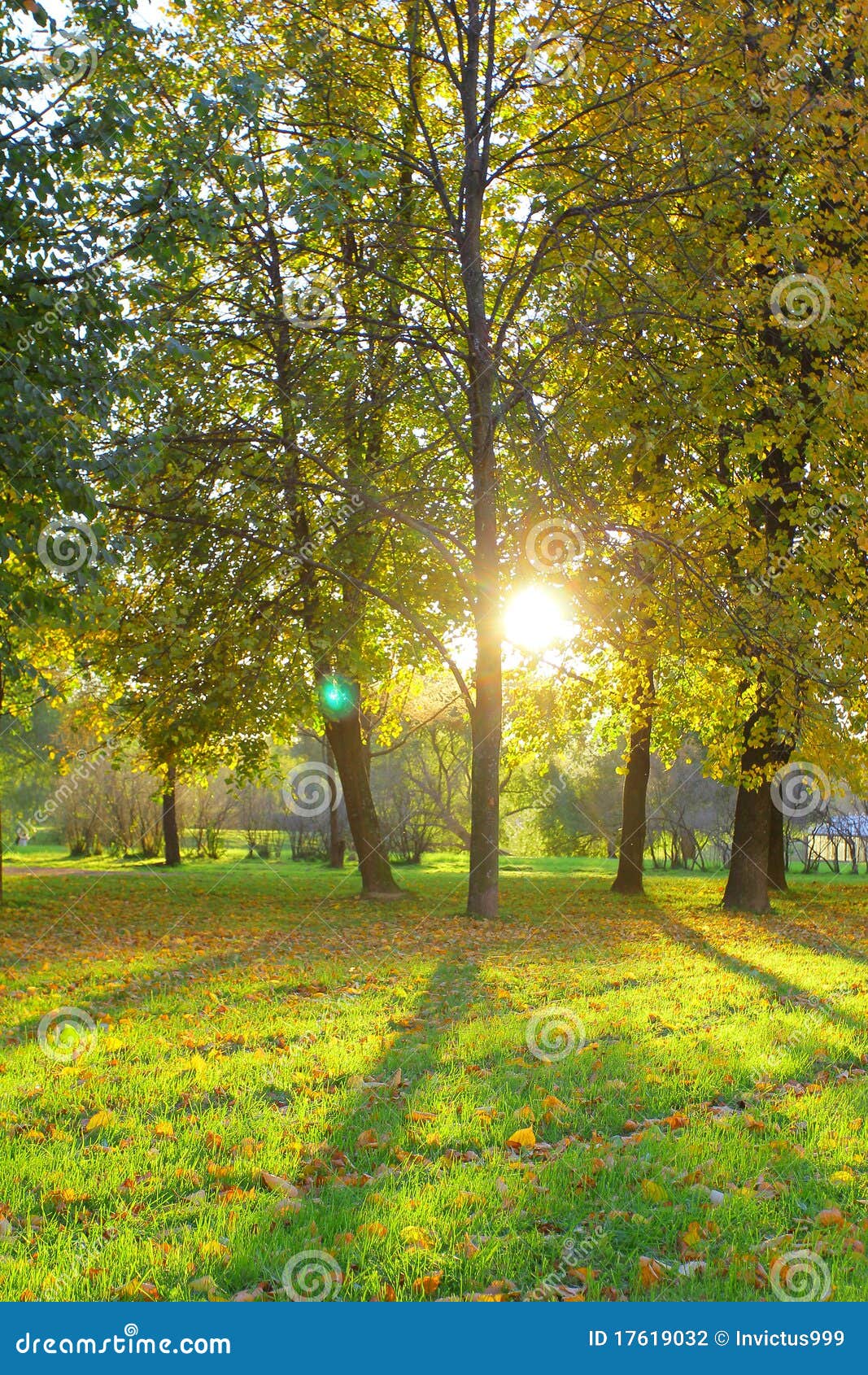Outdoor Nature stock photo. Image of lush, golden, lawn - 17619032