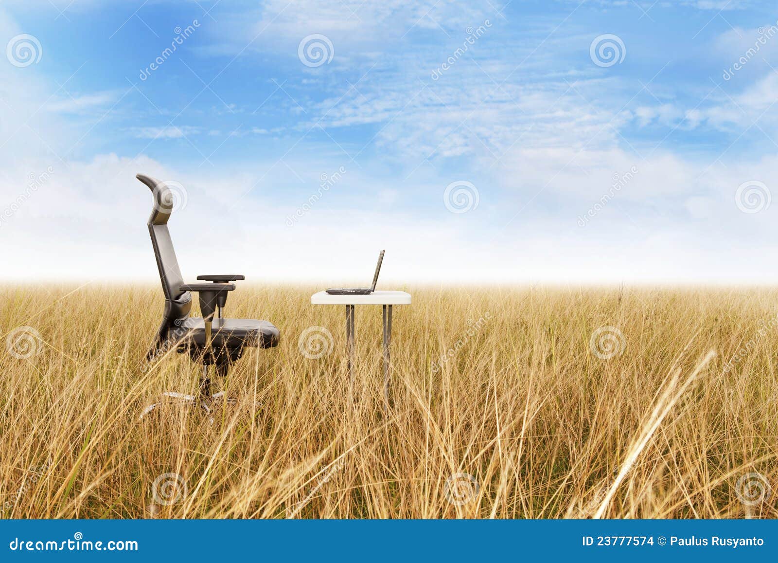 Desk Golden Grass Outdoor Stock Photos - Free & Royalty-Free Stock ...