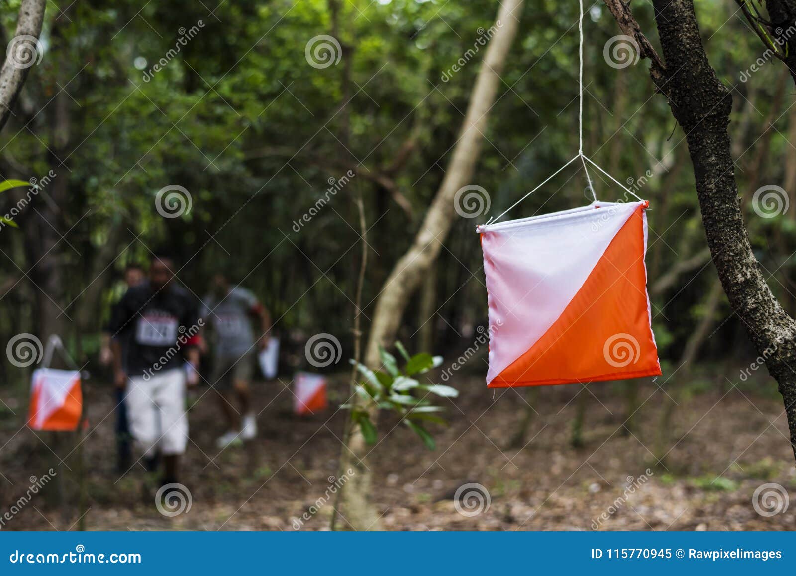 Outdoor Orienteering Check Point Activity Stock Image - Image of ...