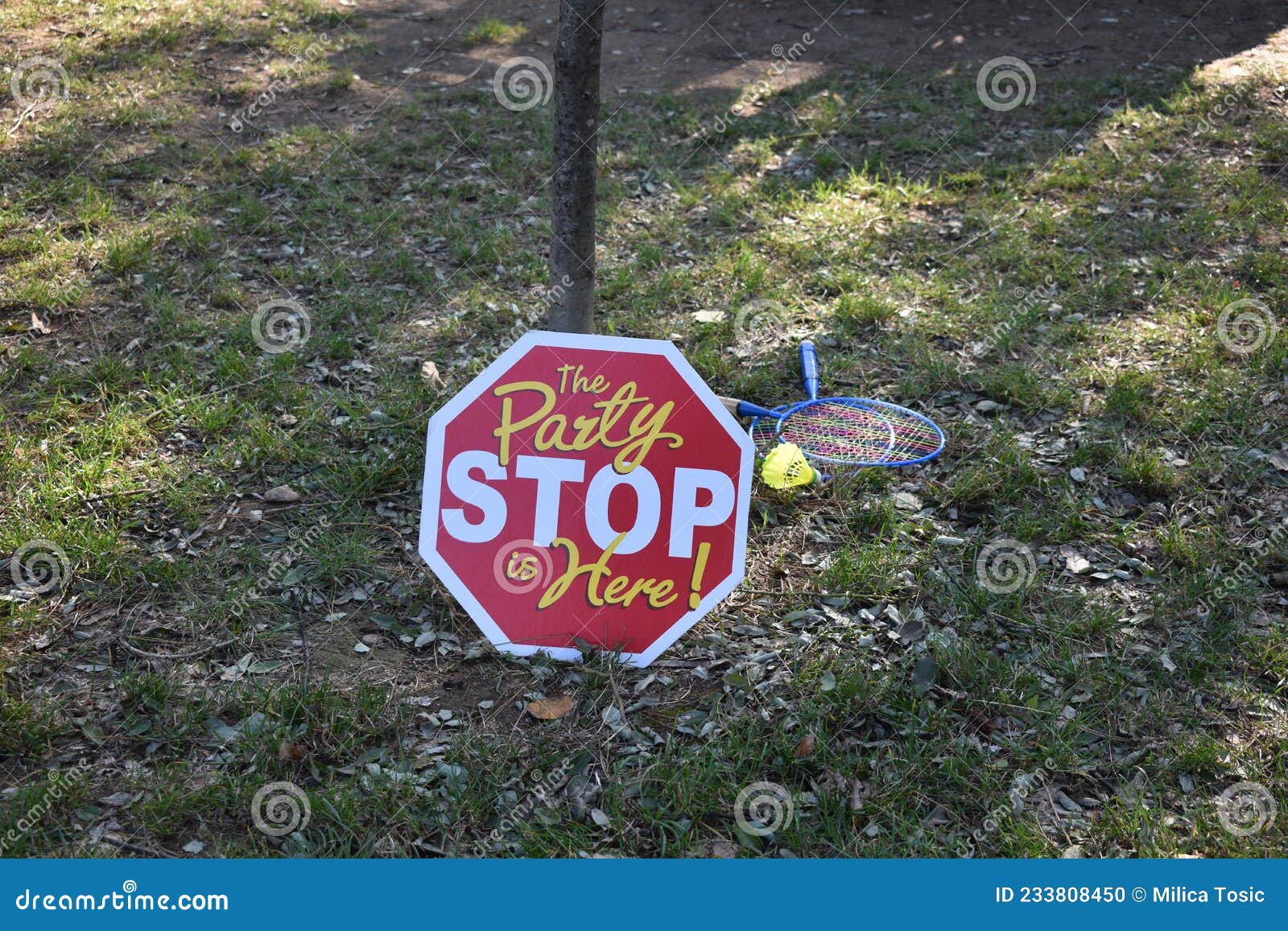 Outdoor party sign stock photo. Image of advertising - 233808450