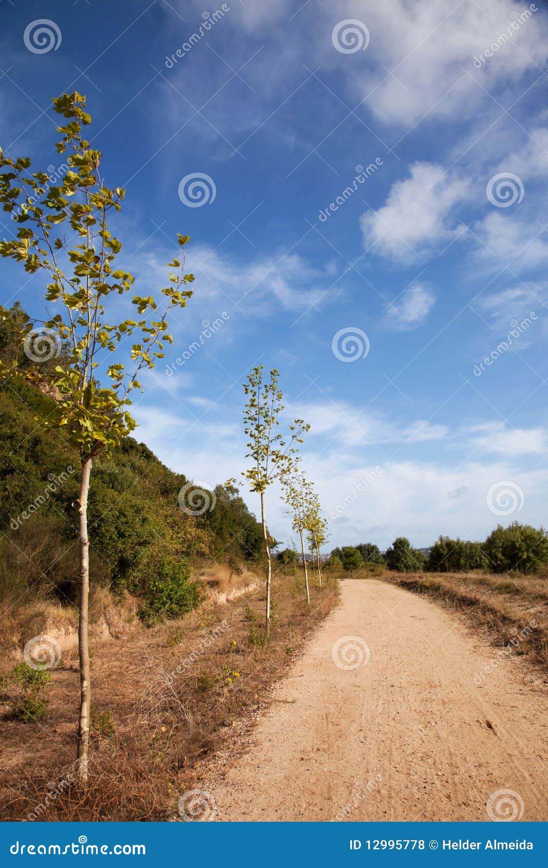 Outdoor path stock photo. Image of spring, landscape - 12995778