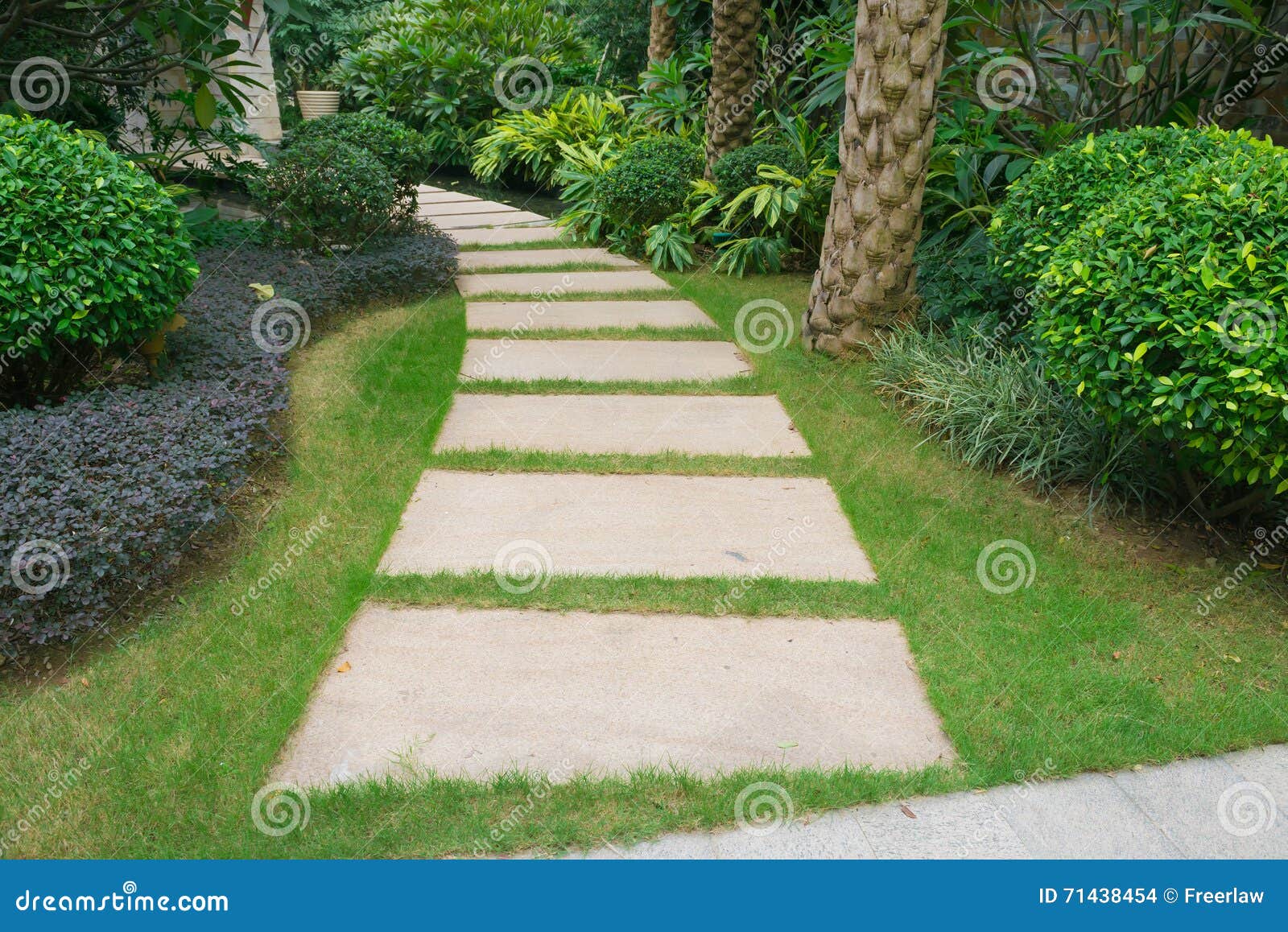 Outdoor pathway stock photo. Image of street, road, track - 71438454