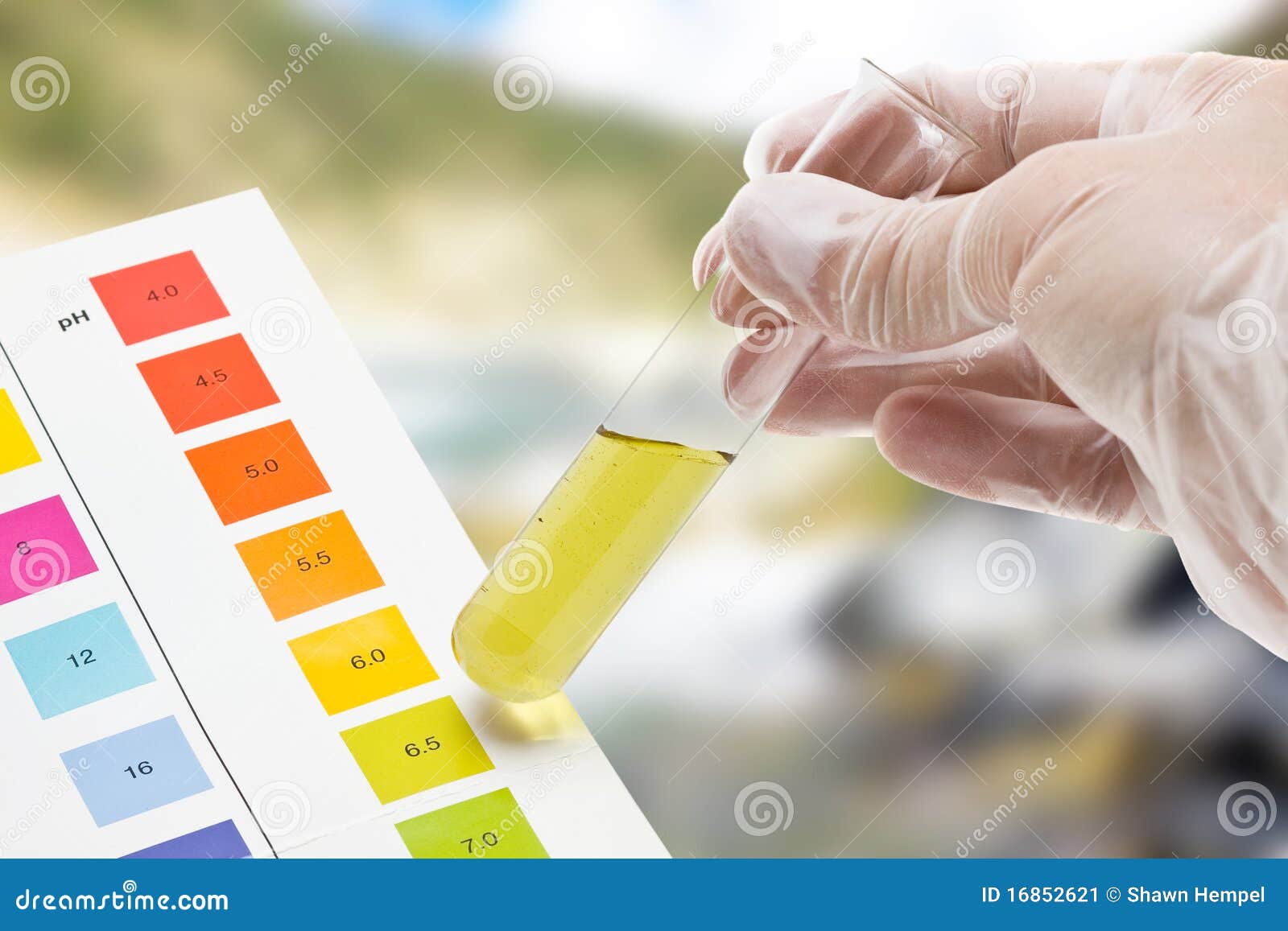 Outdoor pH test stock image. Image of checking, examination - 16852621