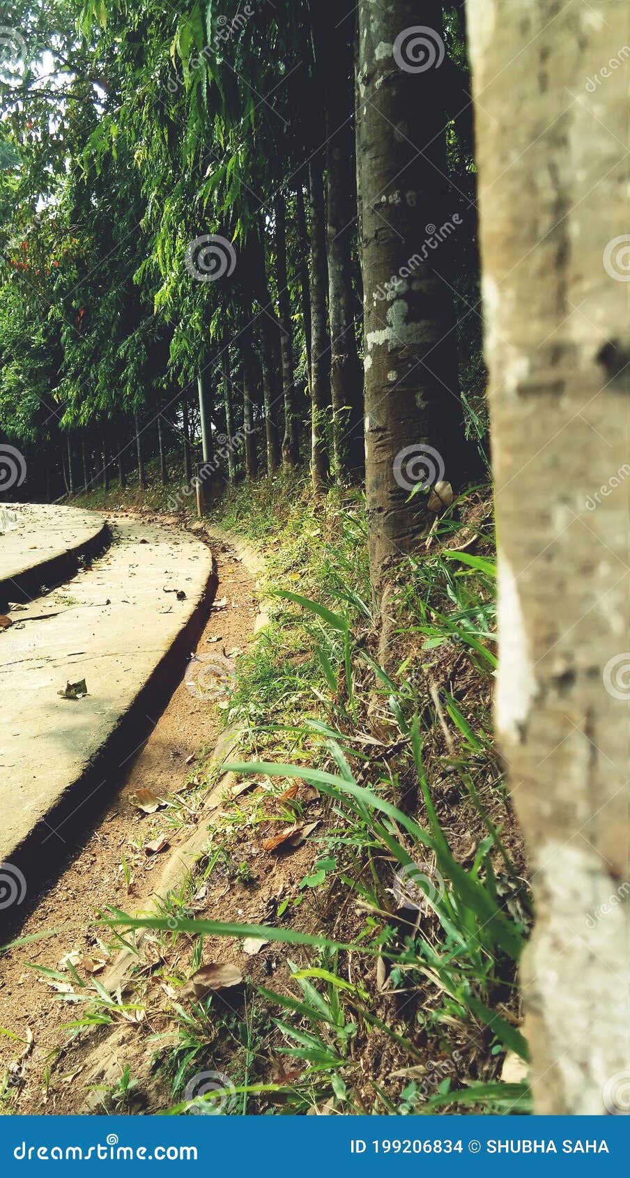 Outdoor Picture Nature Friendly Stock Photo - Image of nature, friendly ...