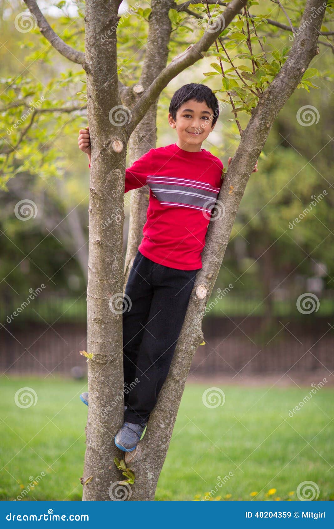 Outdoor Portrait of a Little Boy on a Tree Stock Image - Image of ...