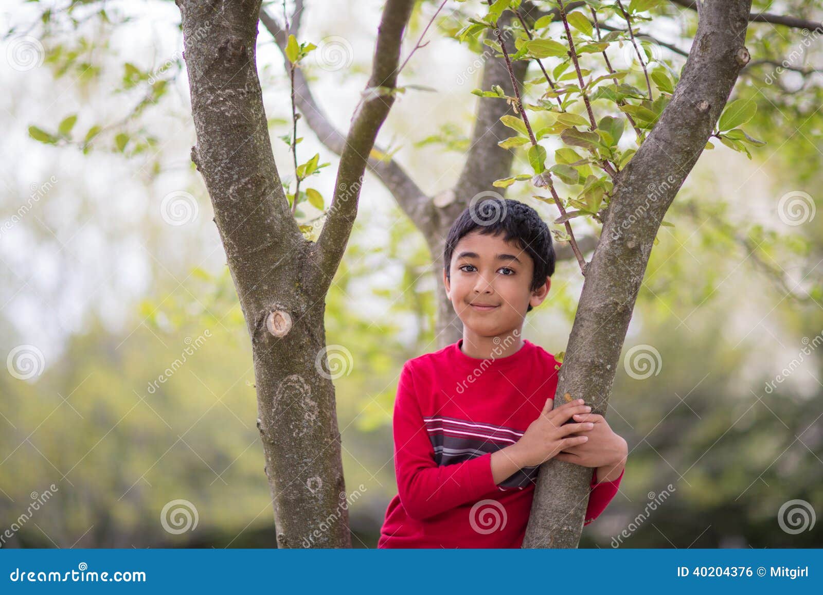 Outdoor Portrait of a Little Boy on a Tree Stock Photo - Image of india ...