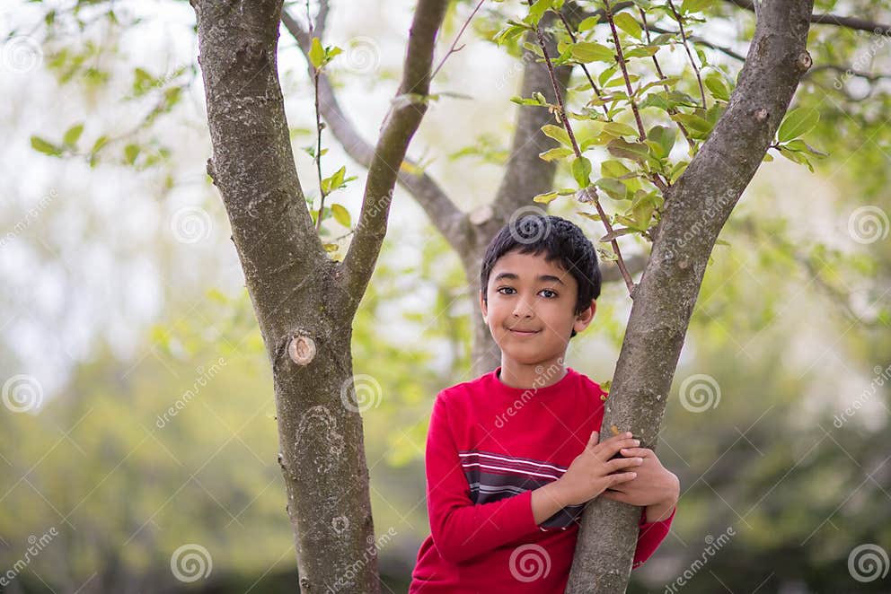 Outdoor Portrait of a Little Boy on a Tree Stock Photo - Image of india ...