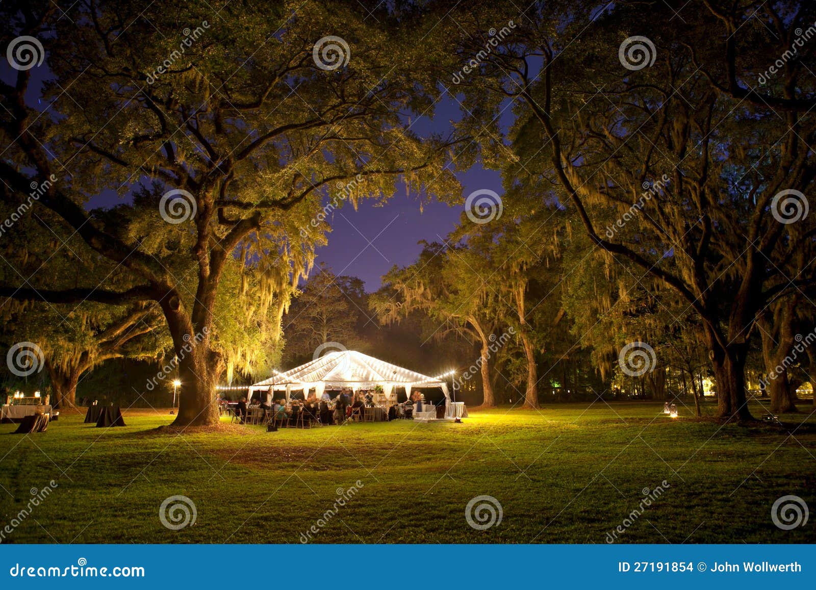 Outdoor Reception at Night Under Trees Stock Photo - Image of dinner ...