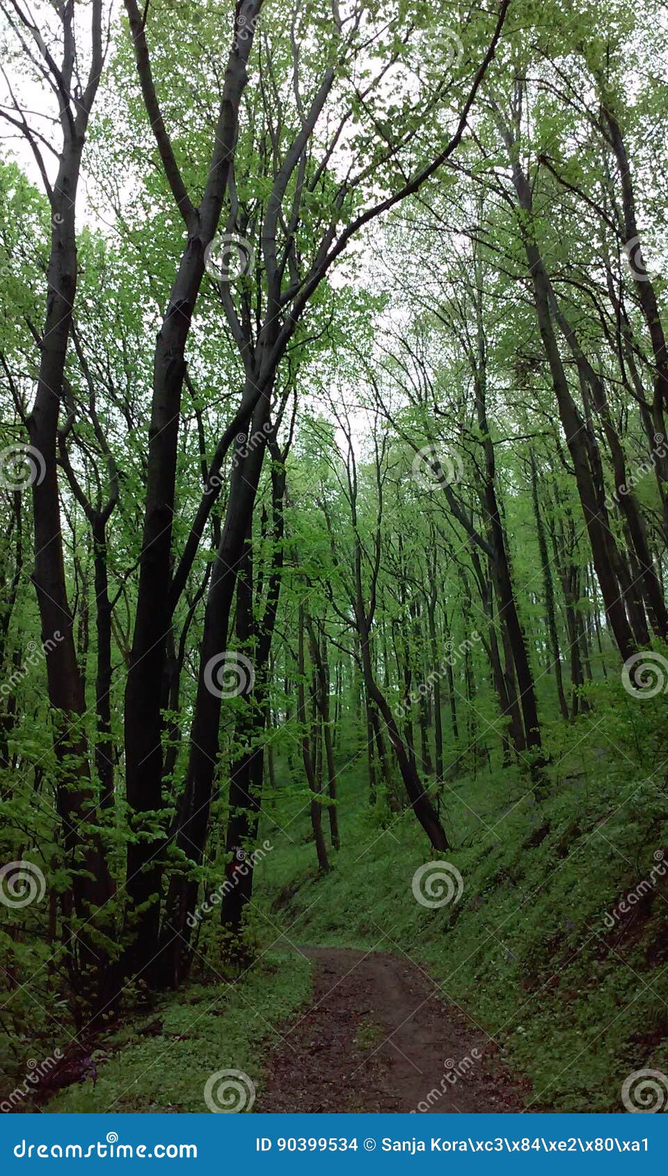 Outdoor relax stock photo. Image of green, goingout, scinery - 90399534