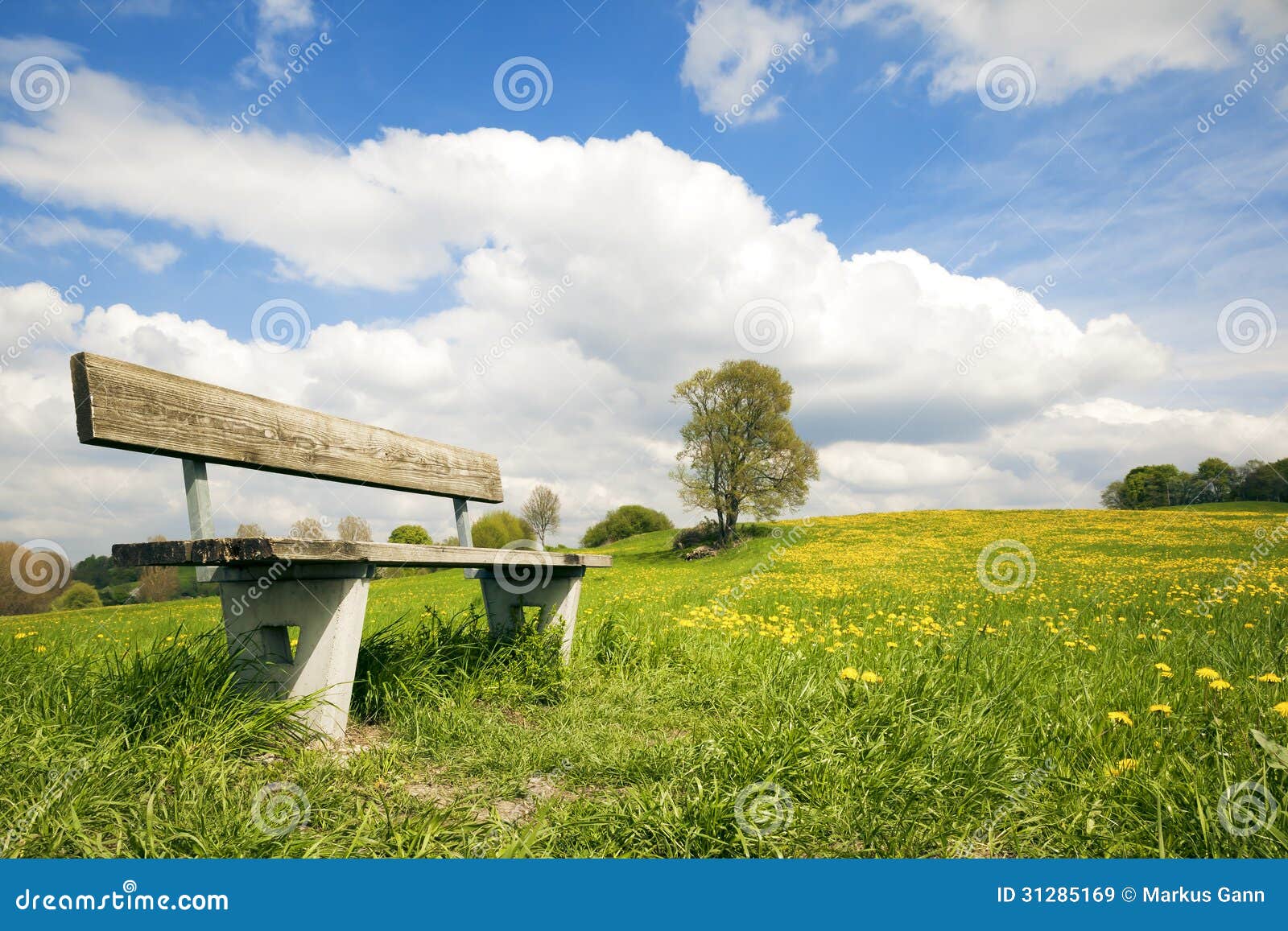 Outdoor rest stock image. Image of landscape, green, beauty - 31285169