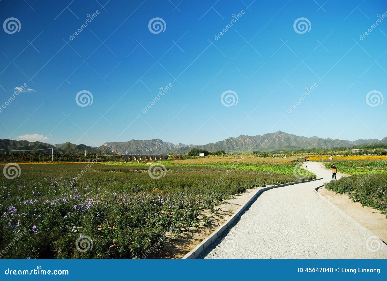 Outdoor and a road stock photo. Image of gardens, green - 45647048