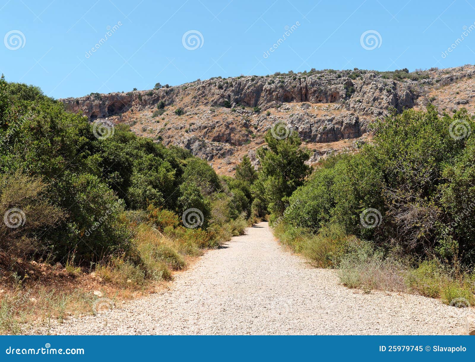 Outdoor Road between Two Rows of Bushes Toward Gra Stock Image - Image ...