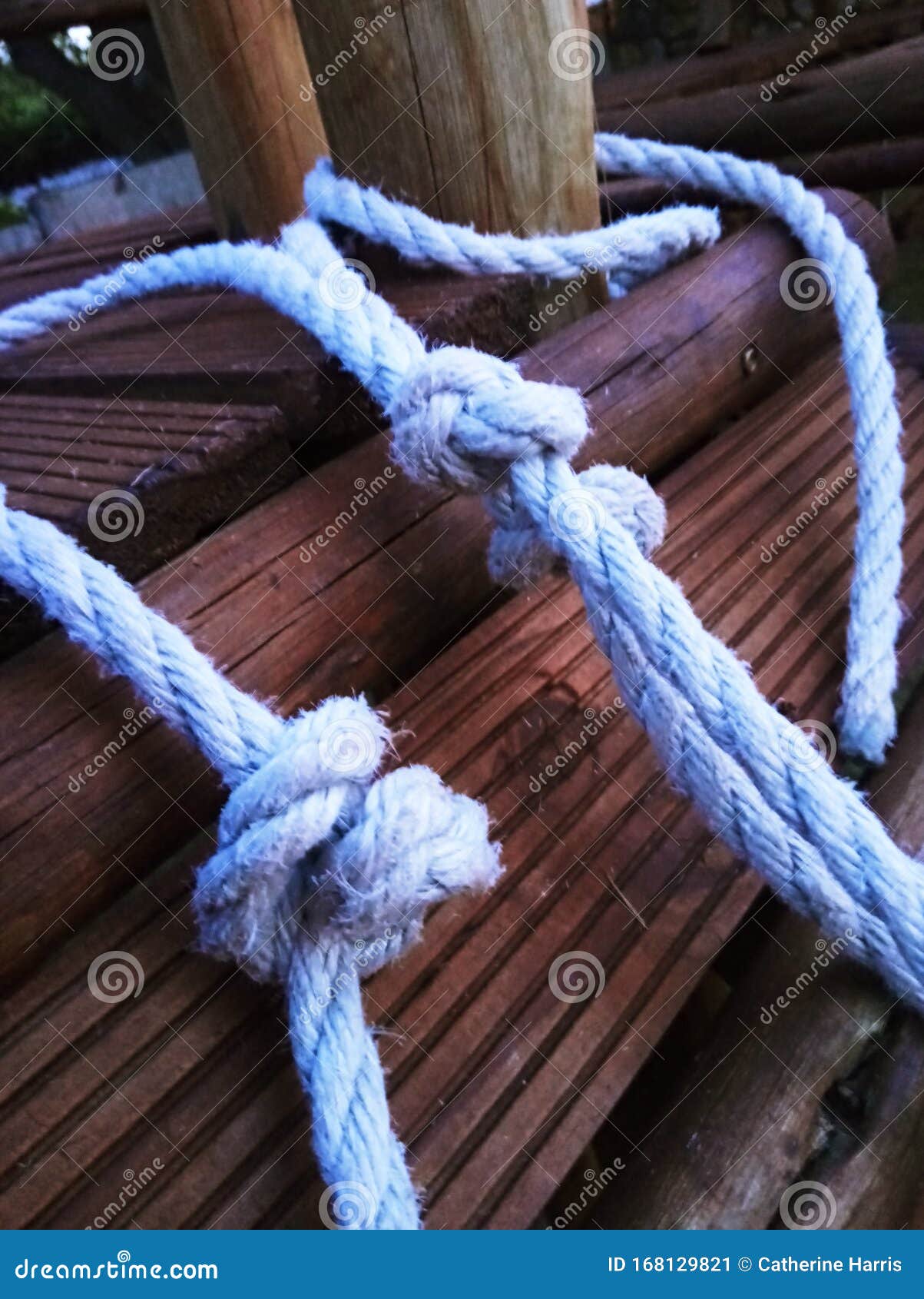 Outdoor rope nots on wood stock image. Image of wood - 168129821