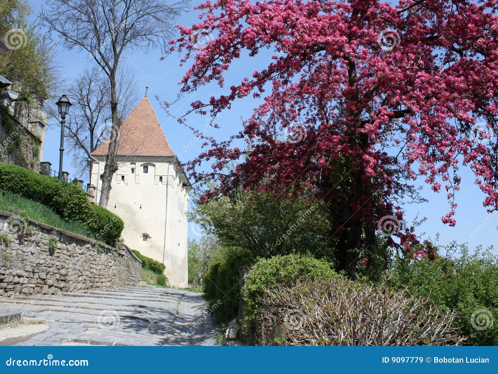 Outdoor scene stock image. Image of flowers, scene, season - 9097779